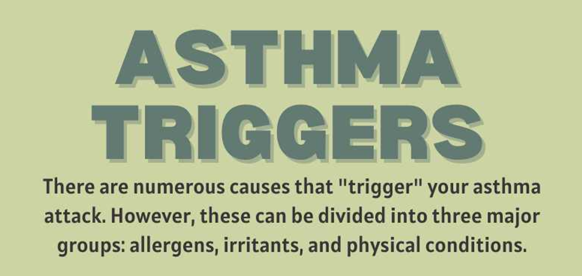 What Causes Asthma? Triggers & Facts | Otsuka Philippines